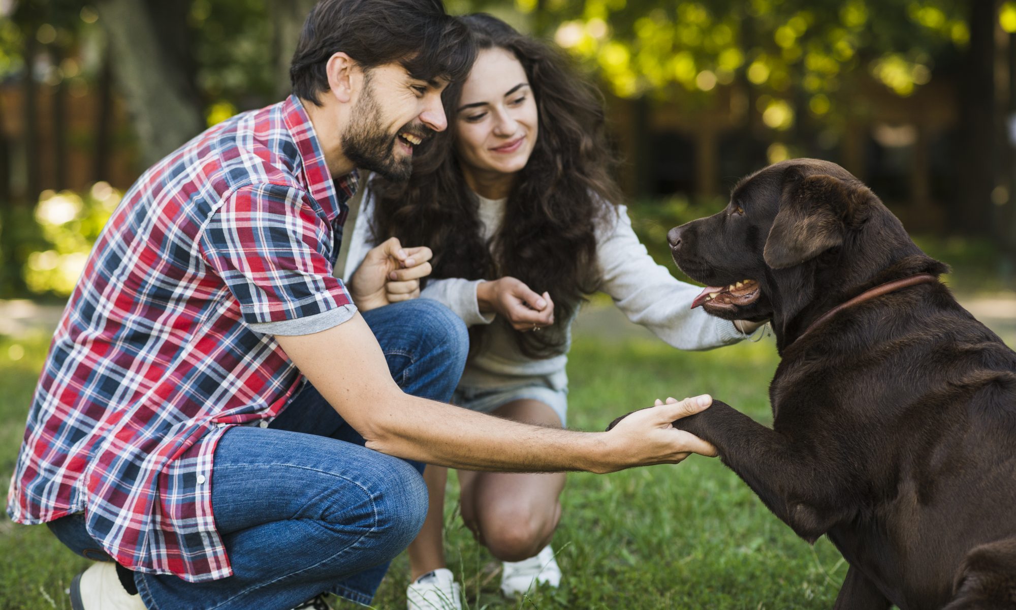 The importance of socialising your dog: A guide to happy canine ...